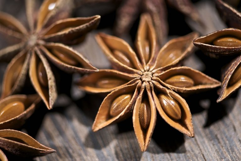 El Agni o fuego digestivo: qué es y cómo fortalecerlo