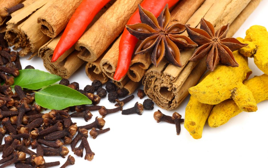 Srotas - Canales del Cuerpo Humano - Ayurveda | India Mágica